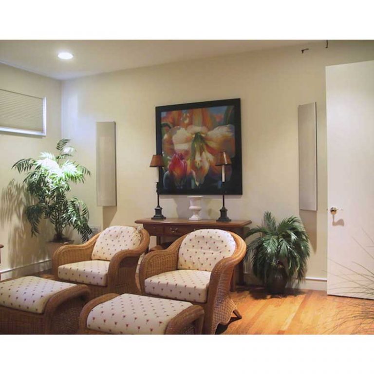 Magnepan MC1 2-way Planar/Quasi Ribbon Wall Mounted Speaker – Rapallo