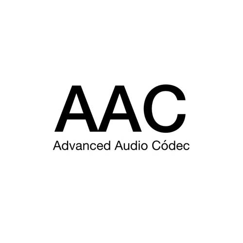 Audio Codecs Explained for Non-Audiophiles – Rapallo