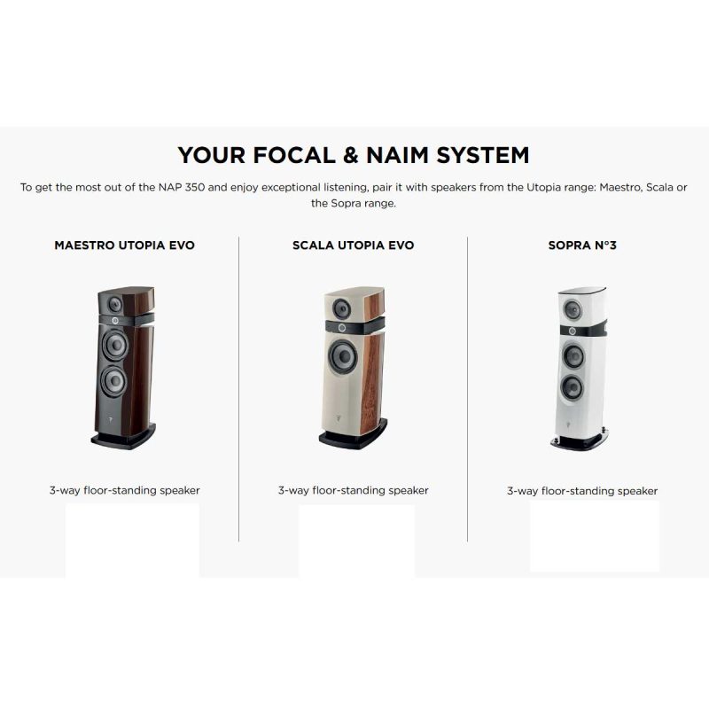 Naim Audio NAP 350 Power Amplifier – Rapallo