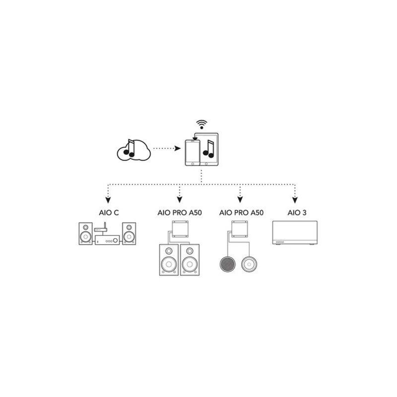 TRIANGLE AIO PRO A50 Wi-Fi & Bluetooth Amplifier – Rapallo