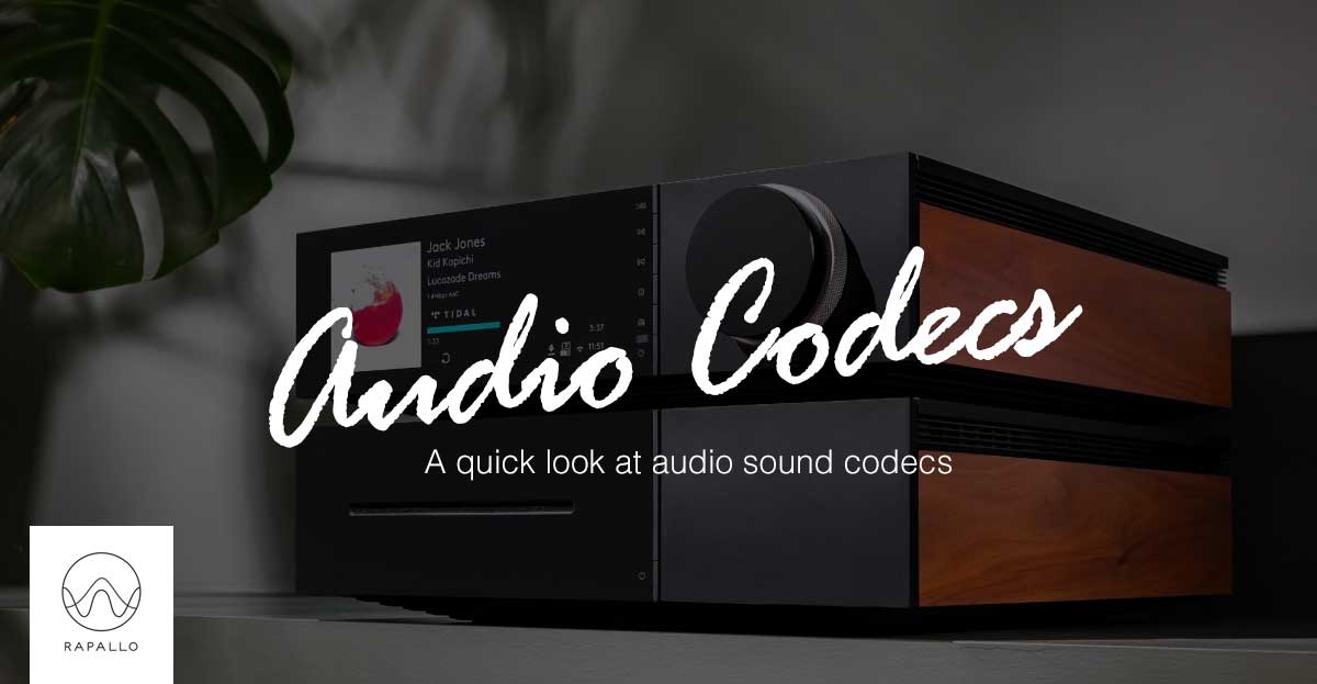 Audio Codecs Explained for Non-Audiophiles – Rapallo