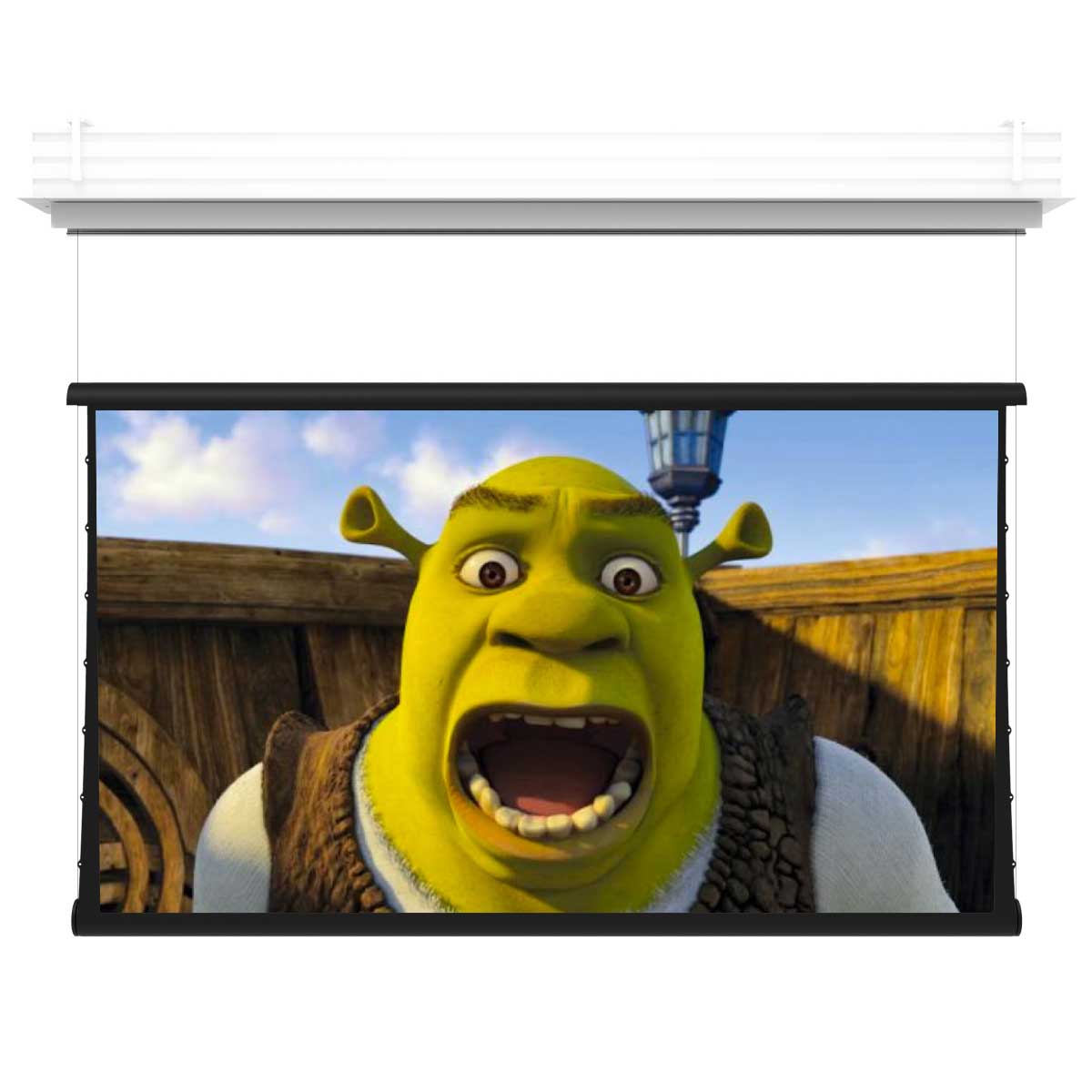 Screen Innovations Zero-G Projection Screen – Rapallo